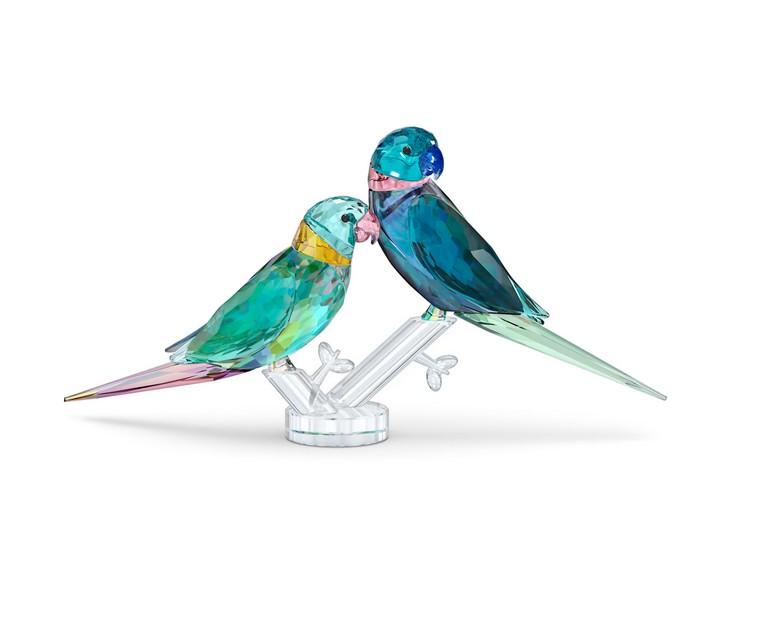 Jungle Beats: Parakeet Couple Fife & Fifer – Camerons Fine Jewellers